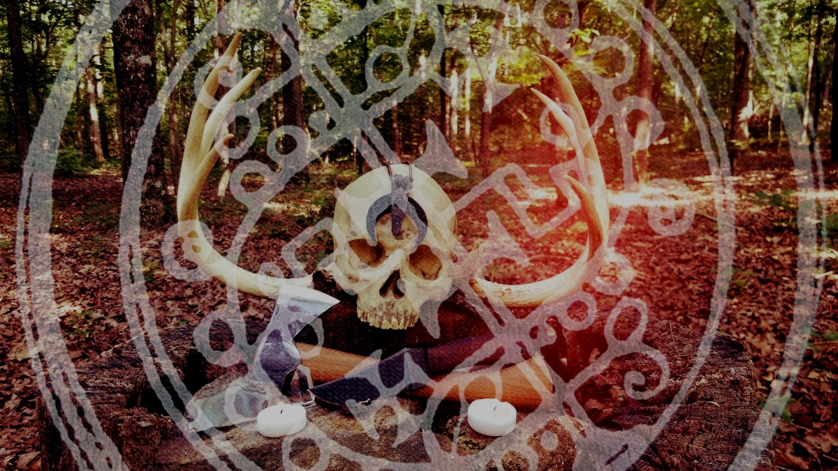 Field Journal | Hellbent Holler