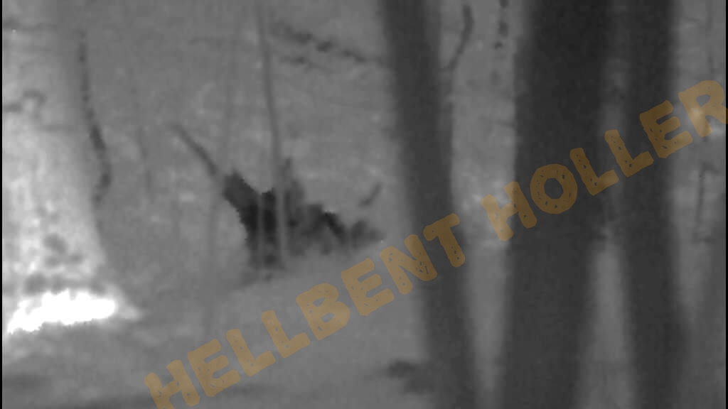 EVIDENCE | Hellbent Holler